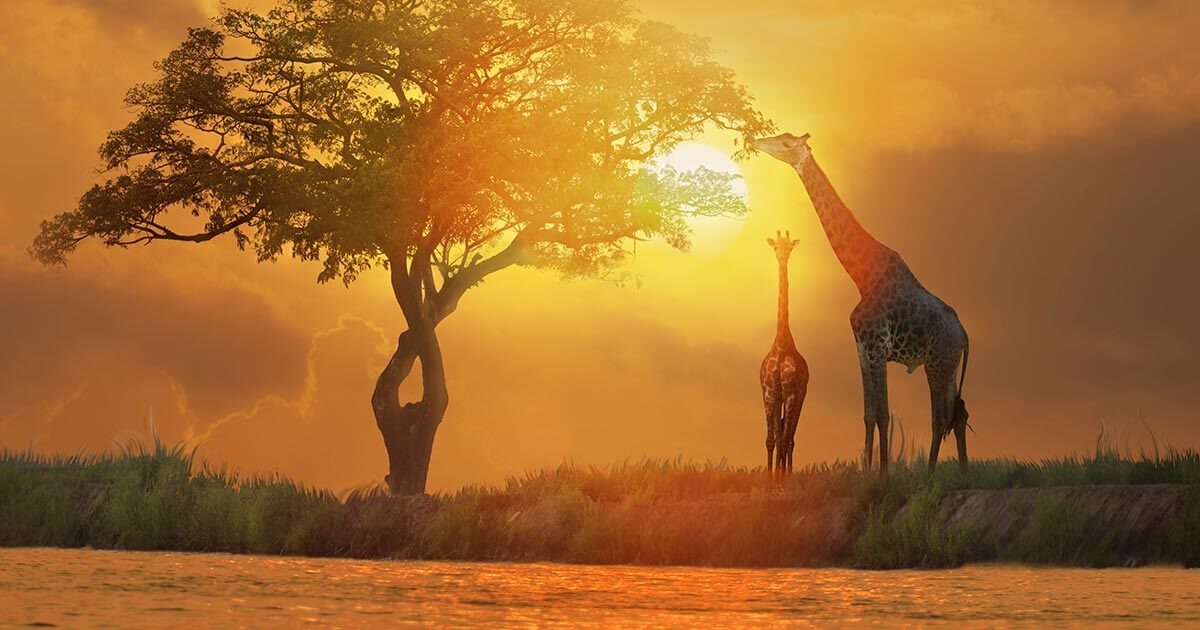 Afryka – podróże po Afryce, inspiracje, poradniki – Magazyn Wakacje.pl